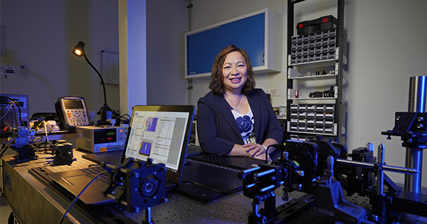 Delta Electronics builds container smart farm at Punggol Digital ...