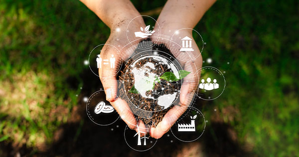 New grant for large businesses to defray costs of sustainability ...