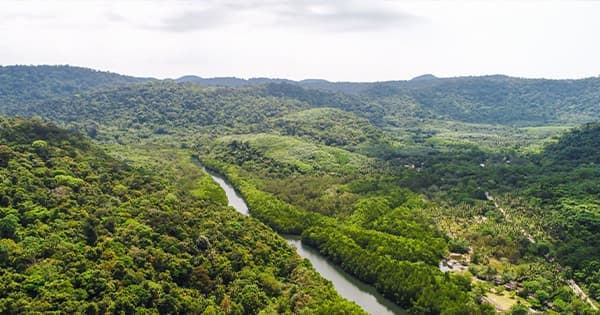 New mapping tool helps to spot sources of high-quality, nature-based ...