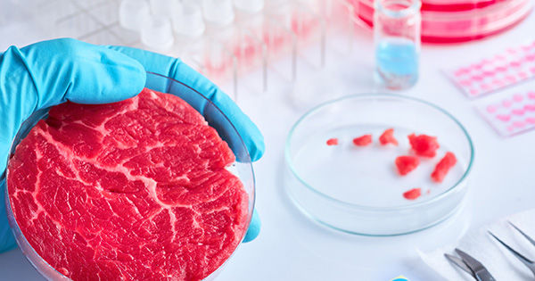 NUS scientists develop plant-based ink for 3D-printing that can be used ...