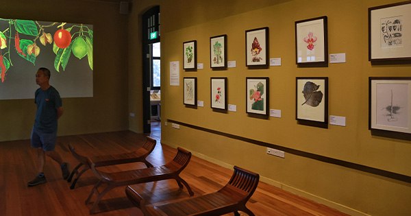 Science blossoms at Singapore Botanic Gardens’ botanical art exhibition ...