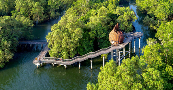 Unlocking Southeast Asia’s blue carbon potential through advanced ...