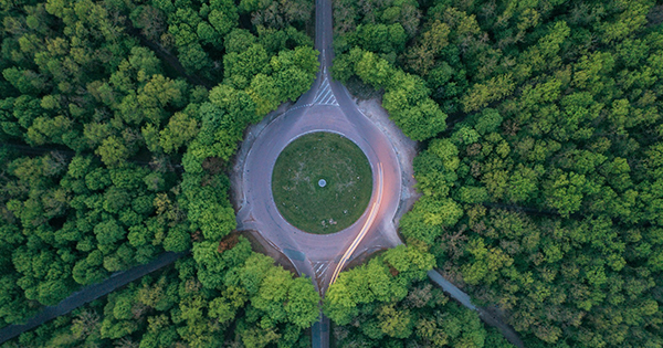 When tech meets nature: Leveraging technology to accelerate nature ...