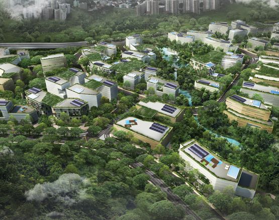 Urban Solutions & Sustainability | Singapore EDB